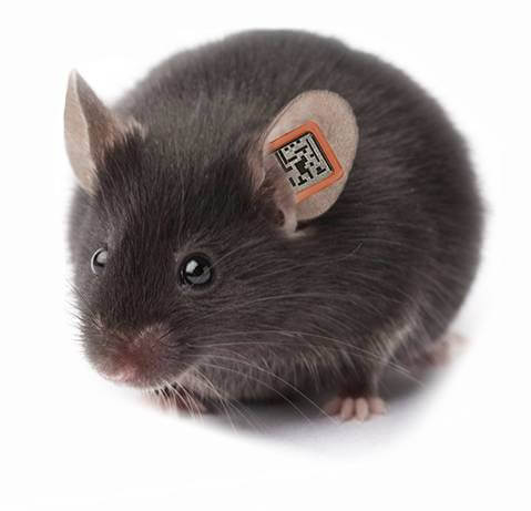 PPC - Lab Animal ID - Mouse Ear Tag - RapID Lab